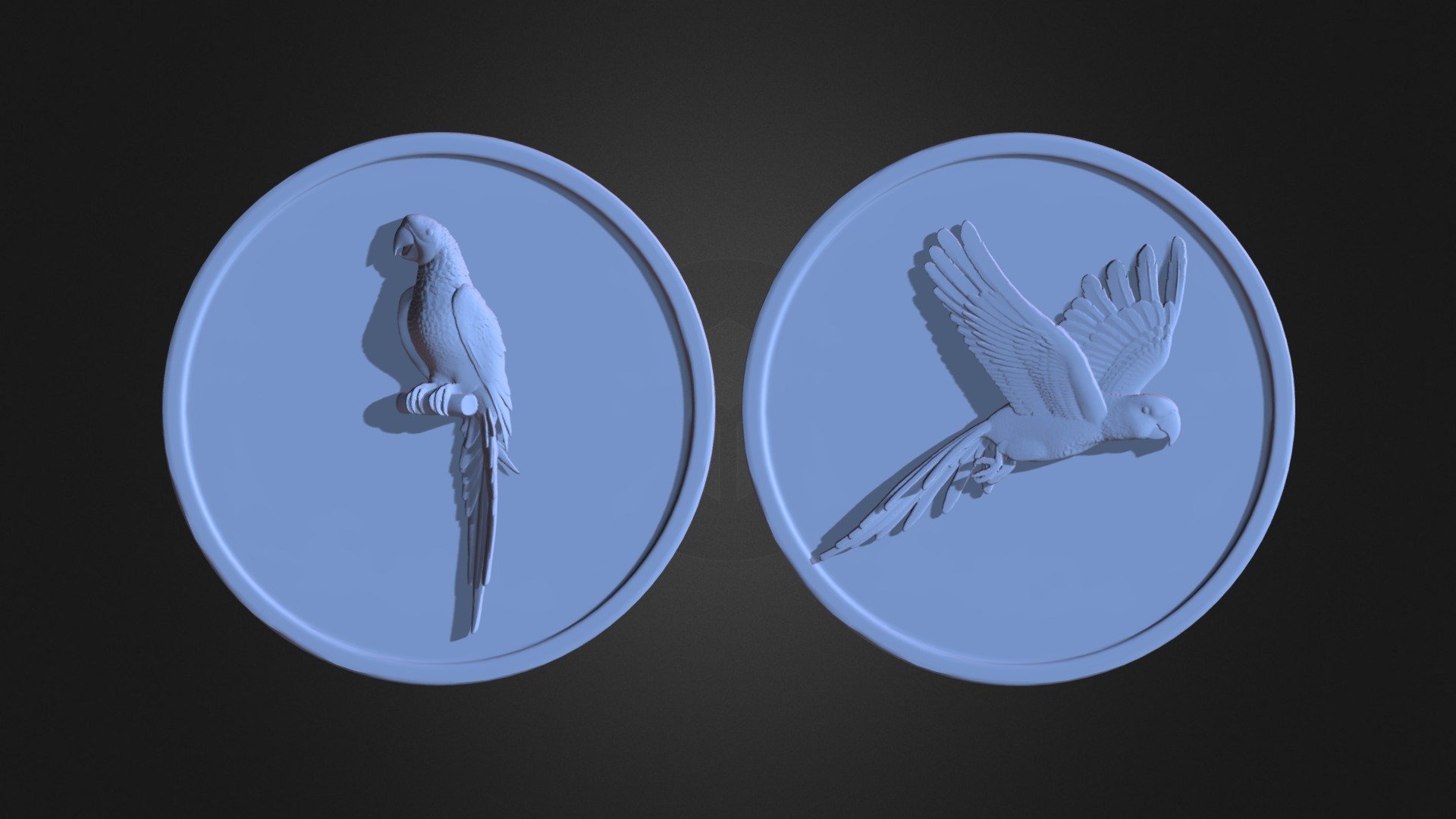 parrots coins - Buy Royalty Free 3D model by explorertit36@gmail.com ...