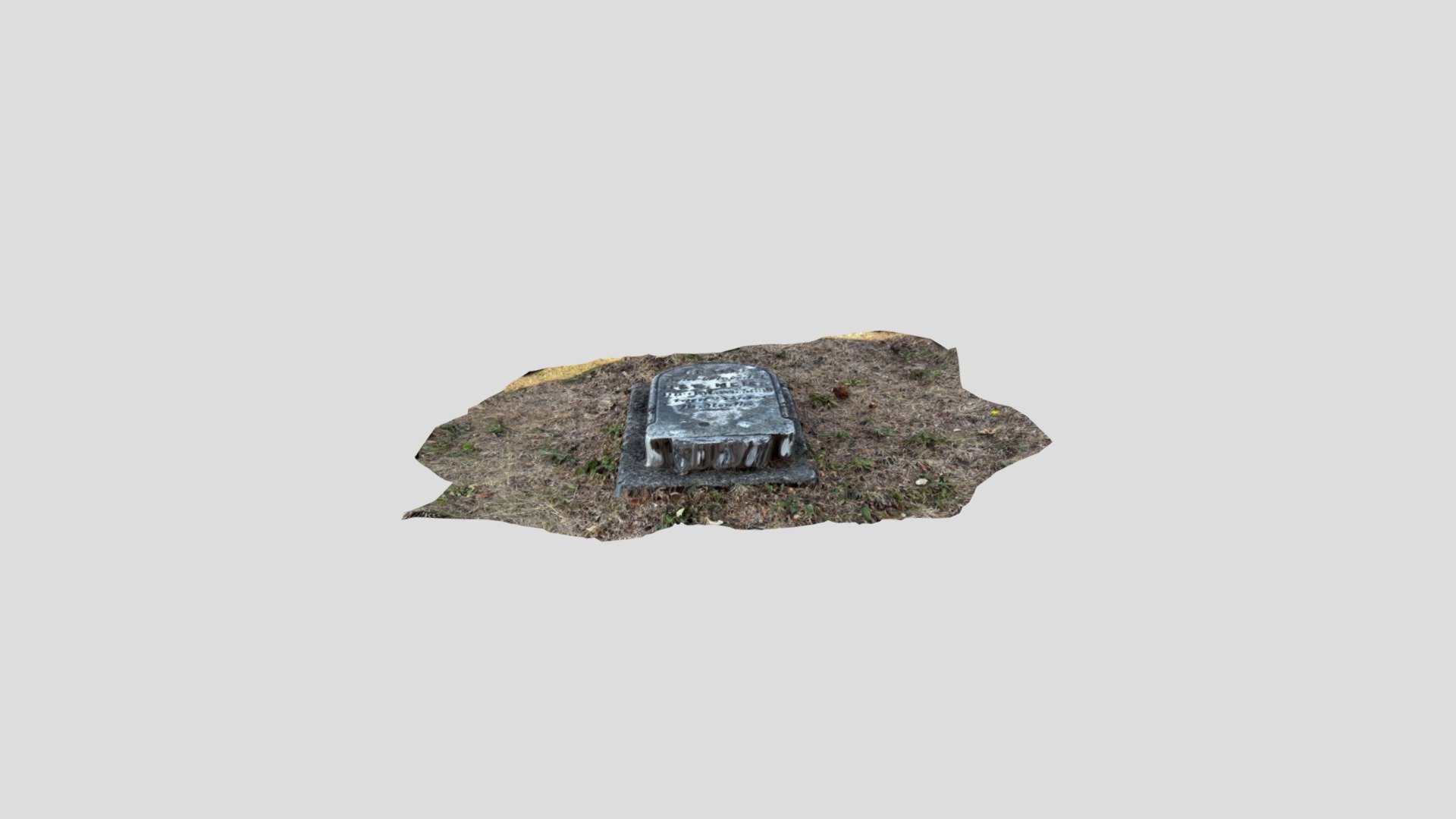 E45 Grace Meiss - Download Free 3D model by archaeograves [fbea10a ...