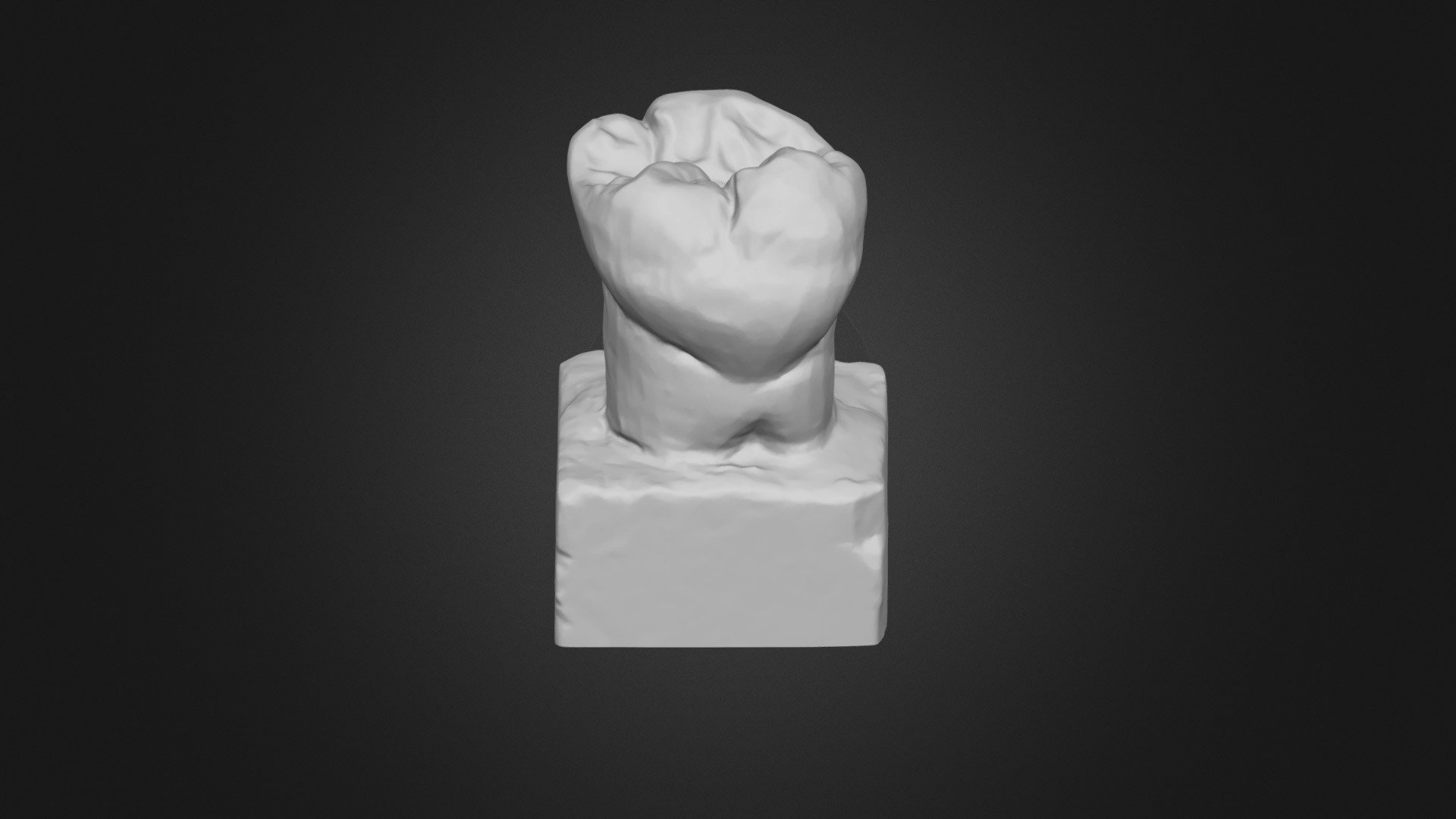 TMU1081-Honorable Mention-NO.21 - 3D model by LaLa (@hengyulee ...