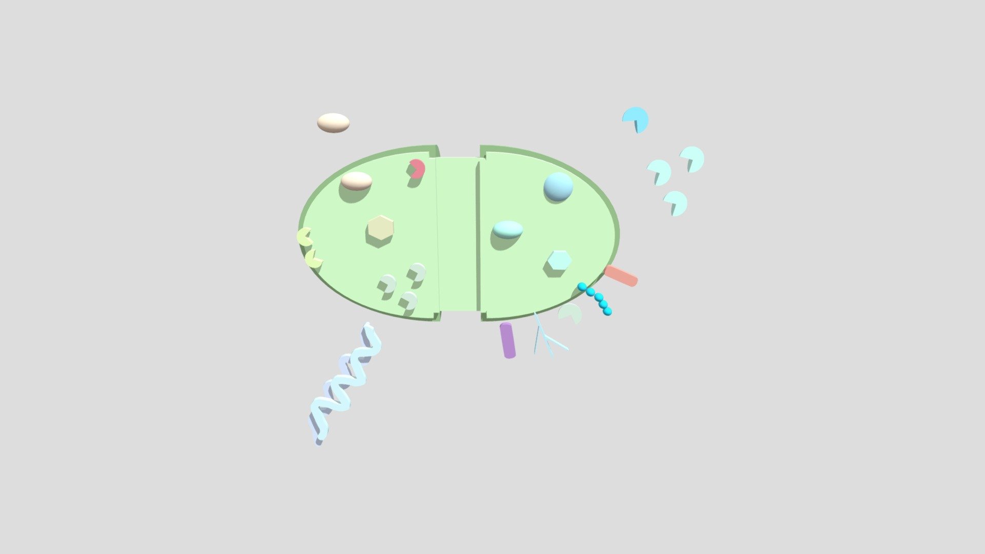 Infograma Interactivo 3D: Enterococcus faecalis - 3D model by yusefcruz ...