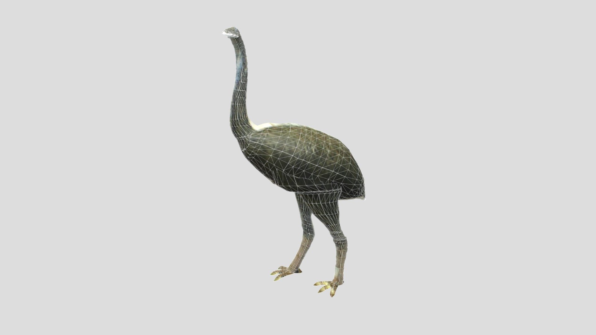 giant moa bird - Download Free 3D model by hunter.4u88 (@hunter4u ...