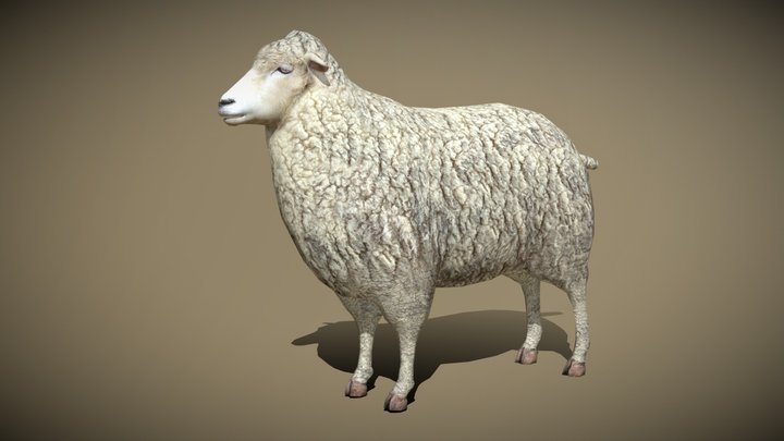 Farm-animal 3D models - Sketchfab