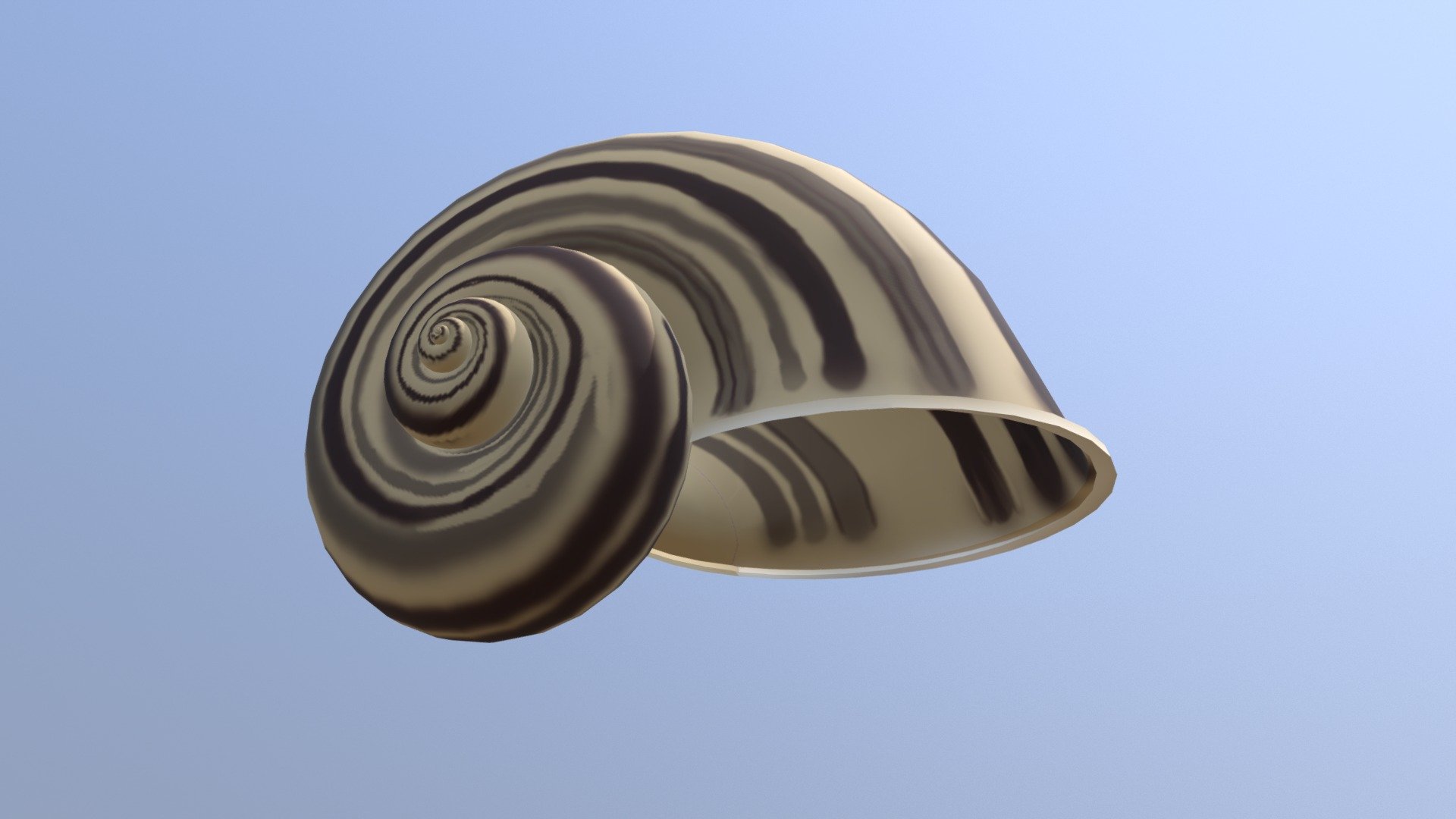 garden snail shell - 3D model by Beadmaker [fc0520b] - Sketchfab