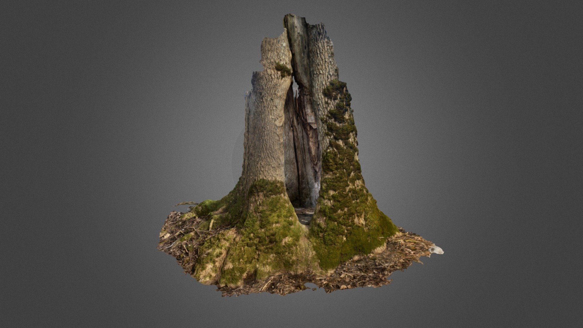 Old Tree with a cave and moss - Download Free 3D model by pirx7 ...
