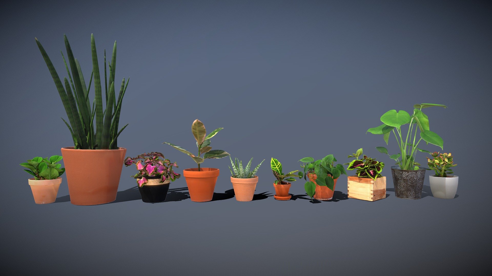 Plants & Houseplants pack - 3D model by Lassi Kaukonen (@thesidekick) [fc0f5e6] - Sketchfab