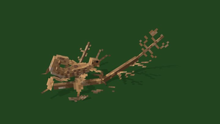 Spinyleafinsect 3D models - Sketchfab