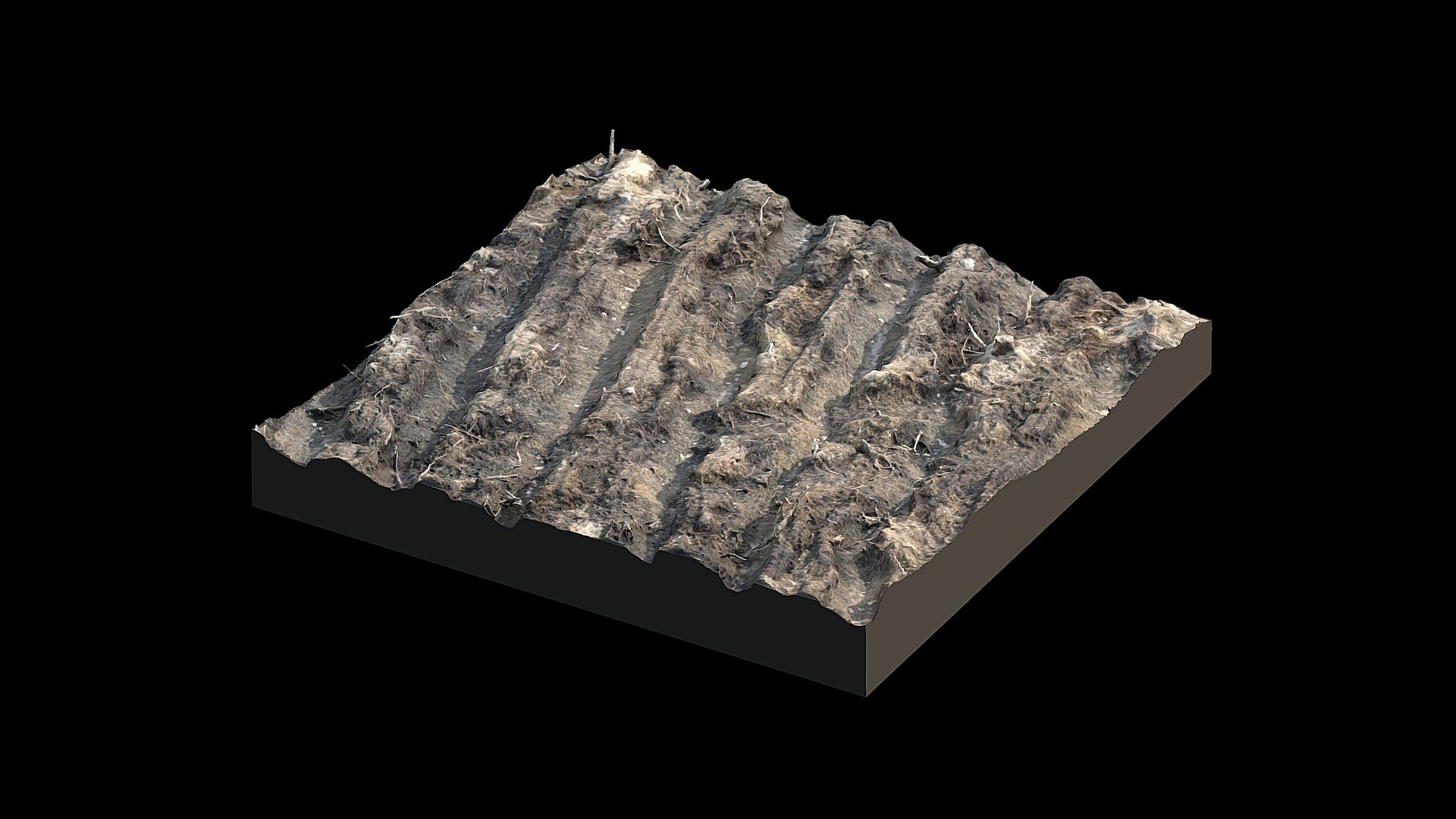 Photoscanned Muddy Forest Ground - Buy Royalty Free 3D model by Marcin ...