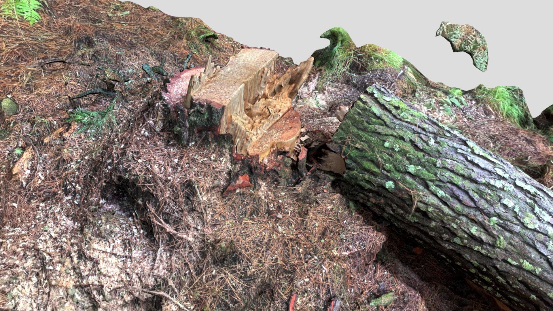 Bad cut - 3D model by Alan Proctor-Thomson (@alanpt) [fc442f5] - Sketchfab