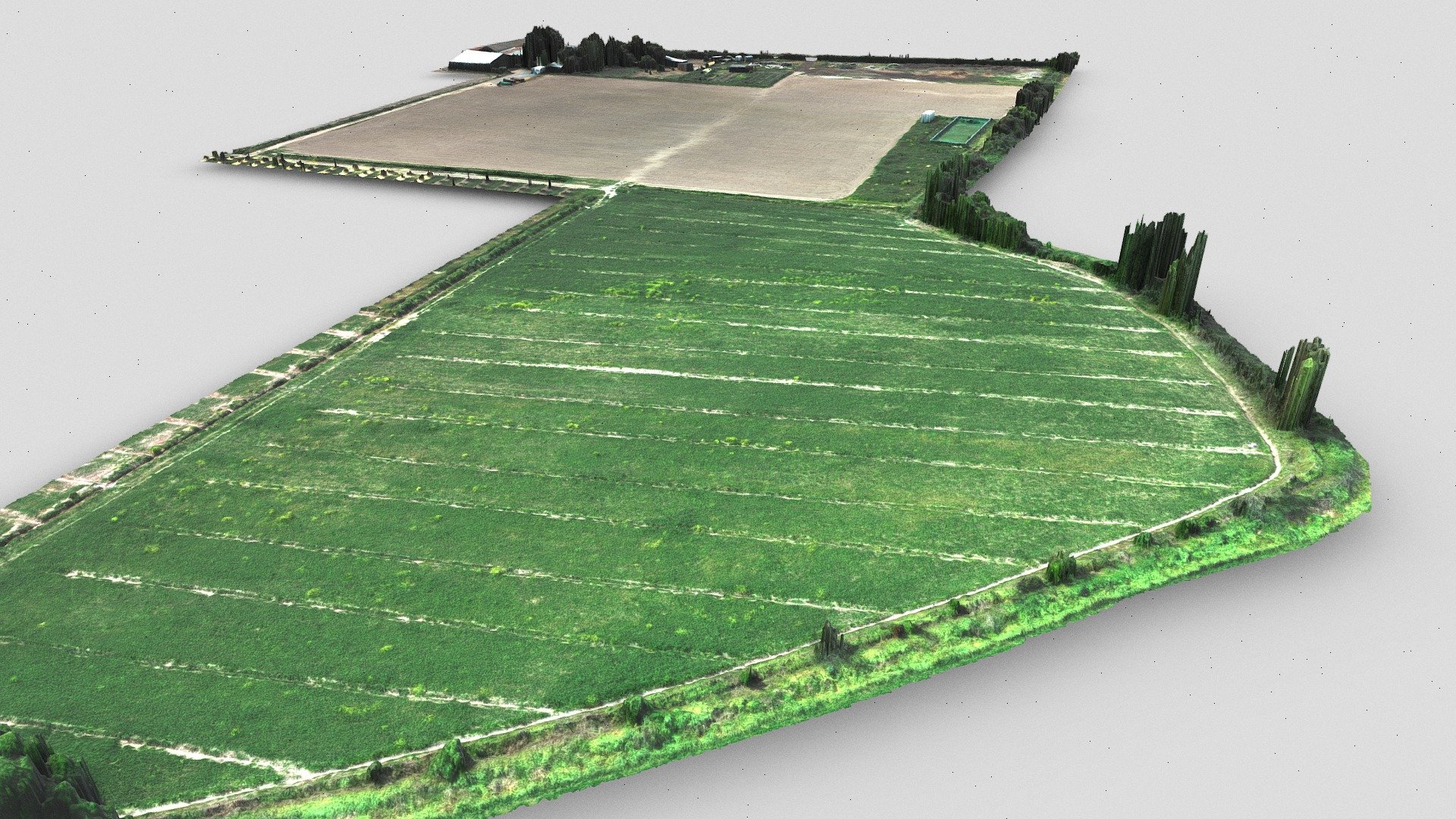 4ha de Granja Fantástica - 3D model by Rapaz (@MoreauKennedy) [fc4a3bb ...