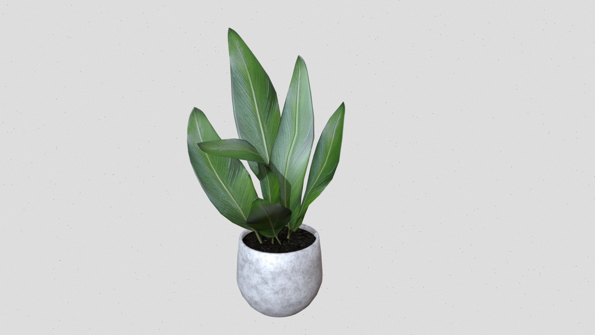 Indoor Plant with pot (a) - Download Free 3D model by vyacha3d [fc5448f ...