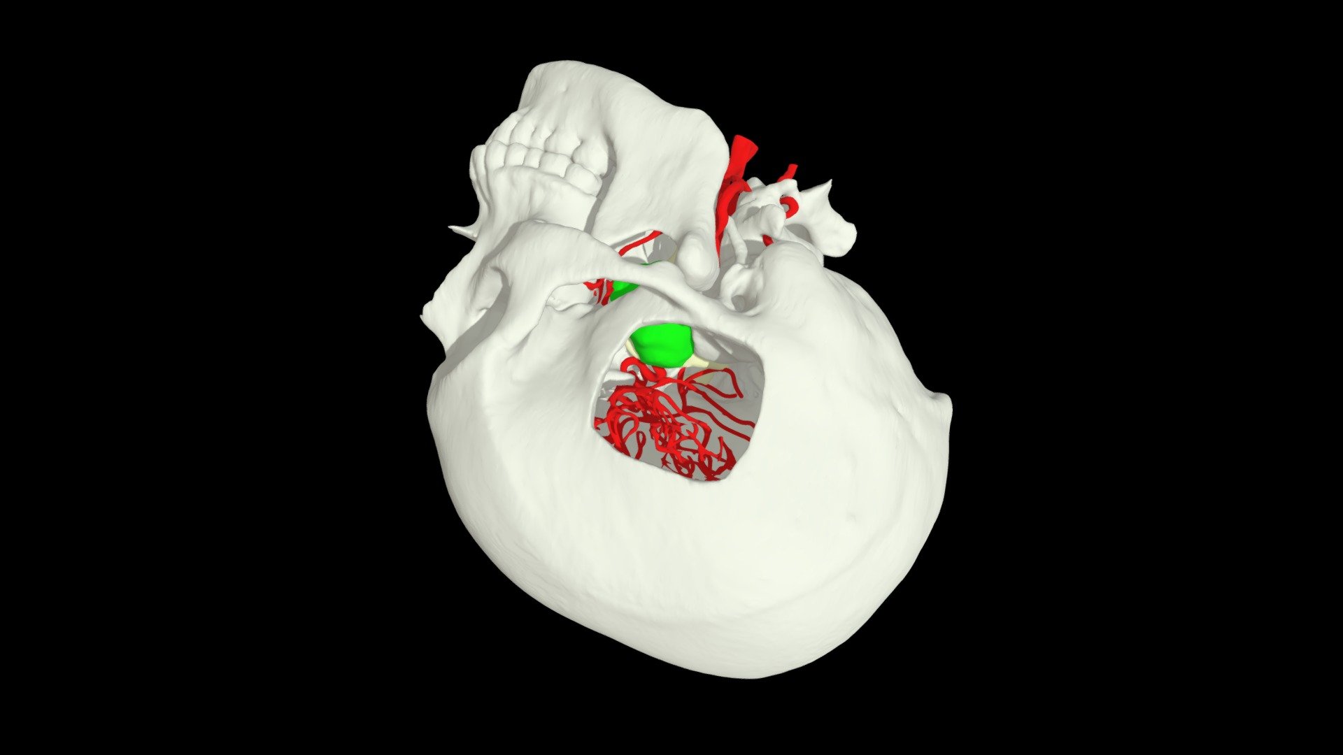 SB0029 AP - 3D model by SkullBasics [fc56ded] - Sketchfab