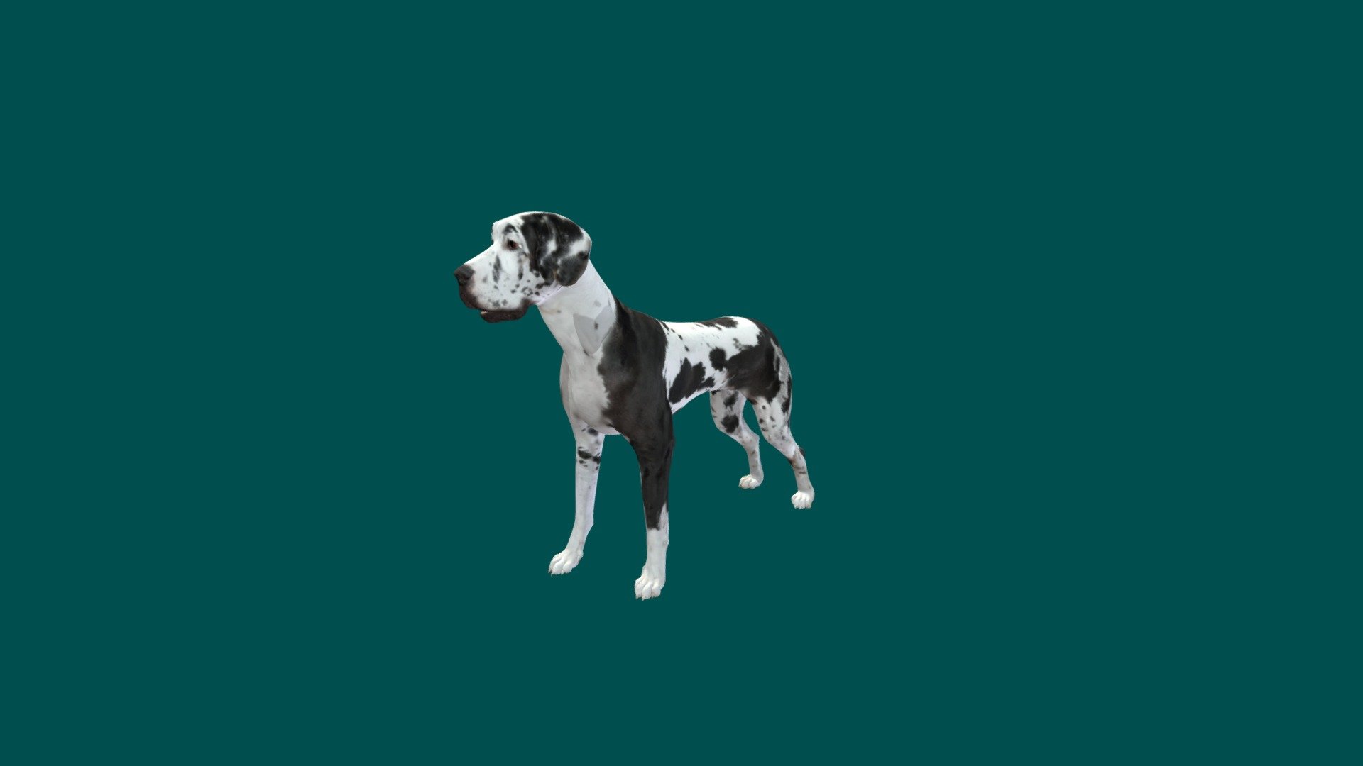 Great Dane (Game Ready) - Buy Royalty Free 3D model by Nyilonelycompany ...
