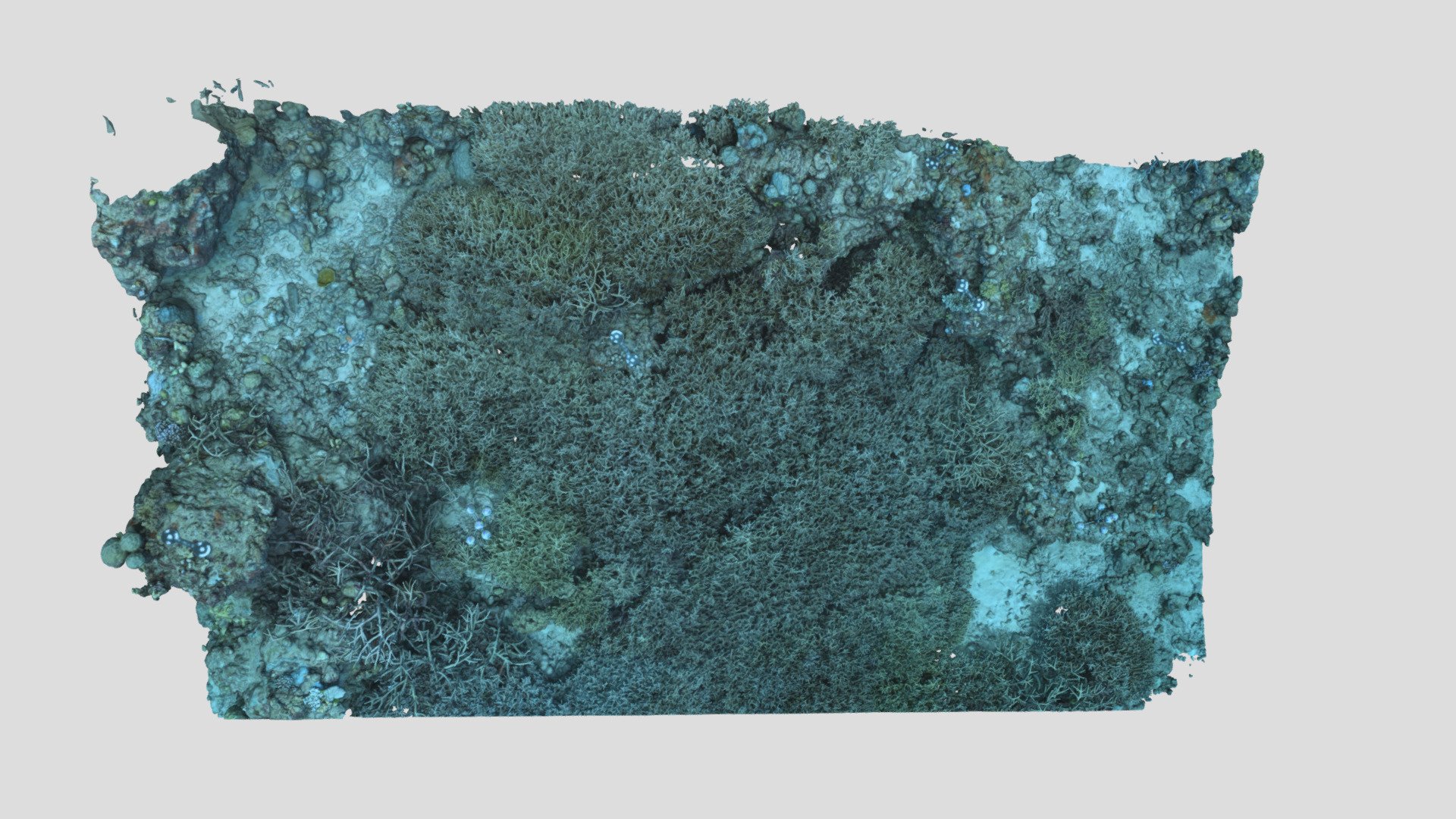 Davies_BA1D_P1_202201 - 3D model by EcoRRAP (@AIMSEcoRRAP) [fc5d2f9 ...