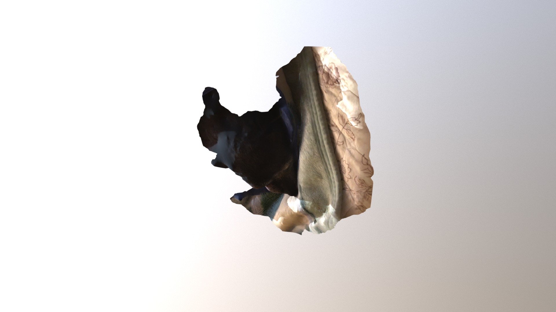 Doly - 3D model by Phillip.B.Han [fc60fdc] - Sketchfab