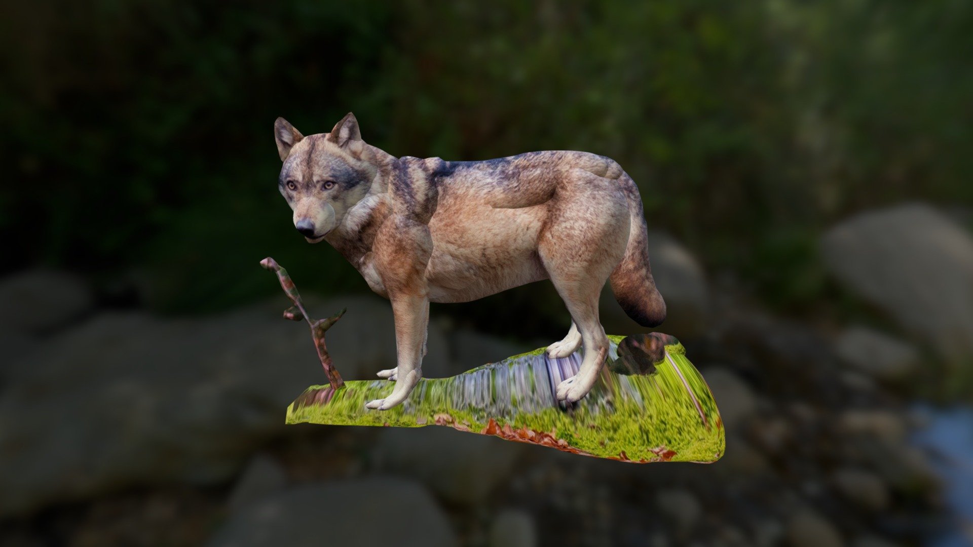 Wolf Smoothie-3D - 3D model by zolt [fc6966a] - Sketchfab