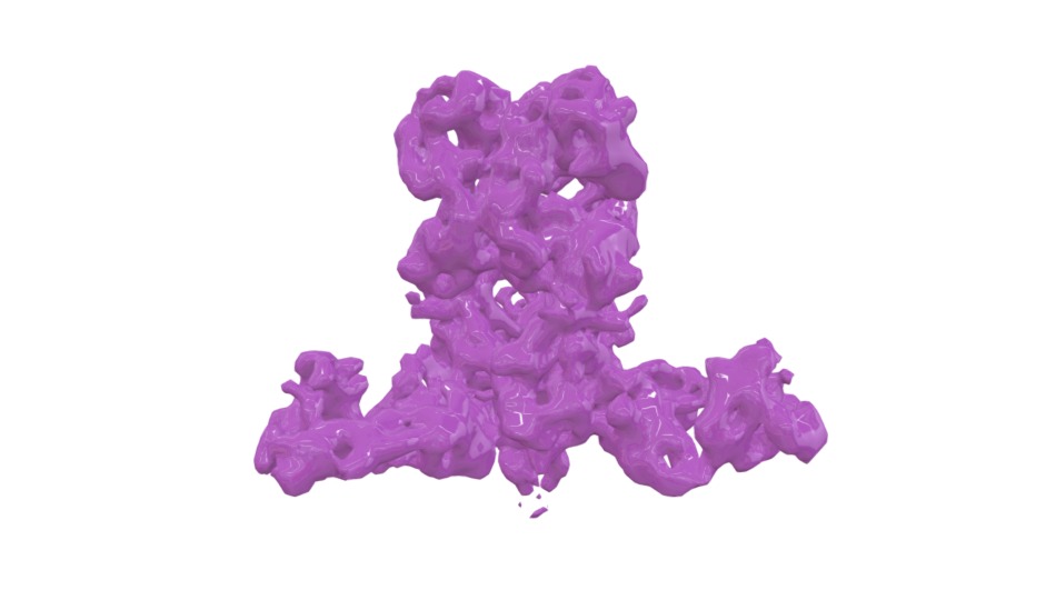 EMDB › EMD-3310 - 3D model by Interactive 3D Data (@proteinsimulation ...