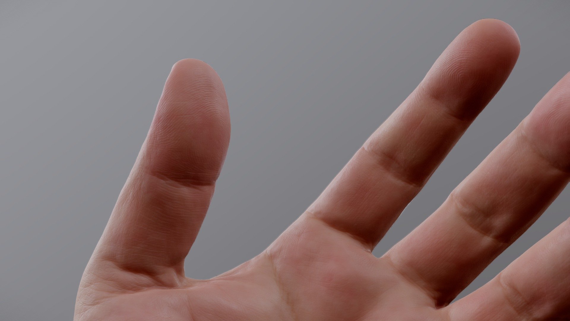 Hand subdiv lvl3 - SSS - V2 - 3D model by Frank.Zwick (@Frank_Zwick ...