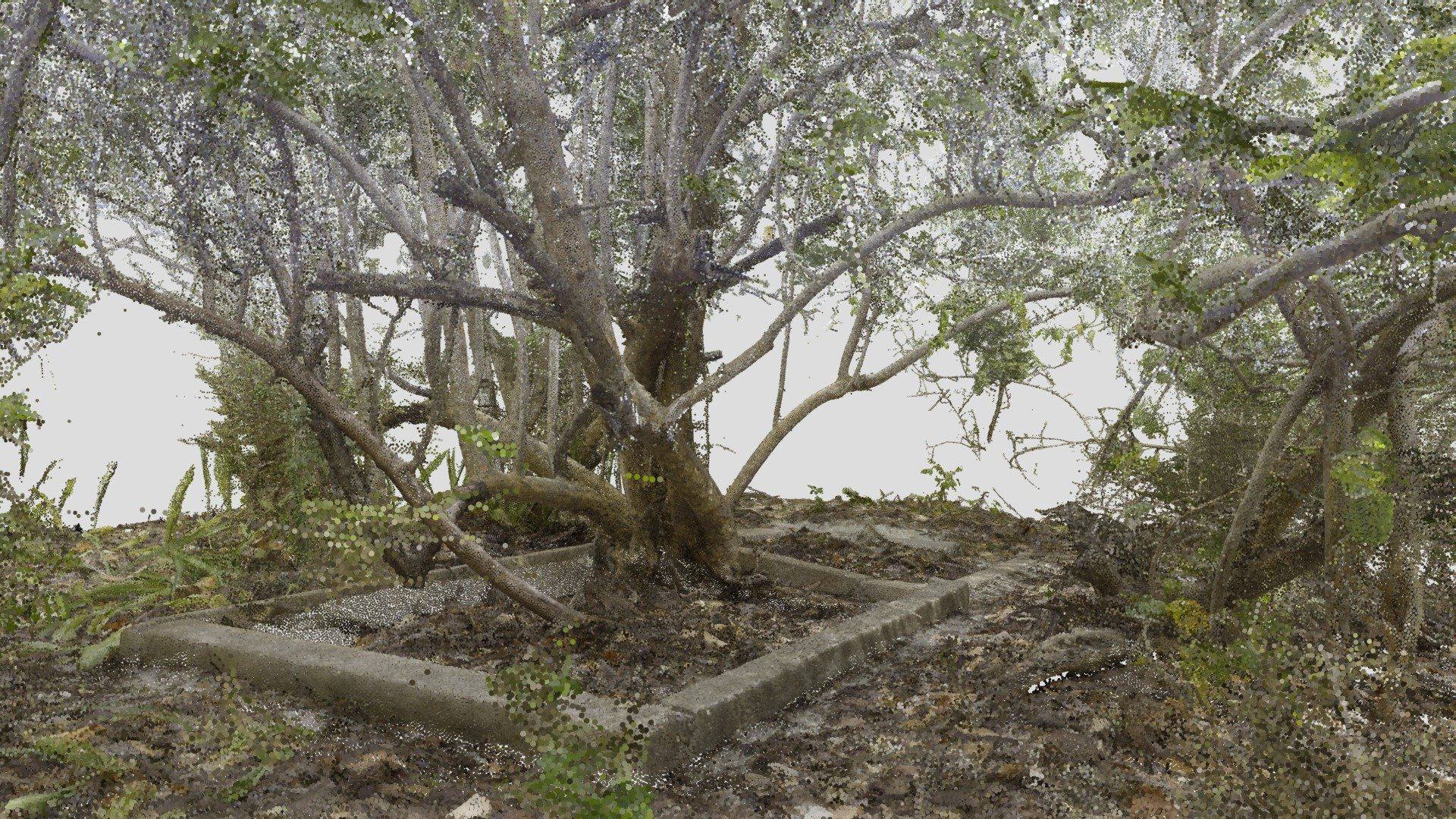 Tabby Mortar Cistern in Everglades - 3D model by University of South ...