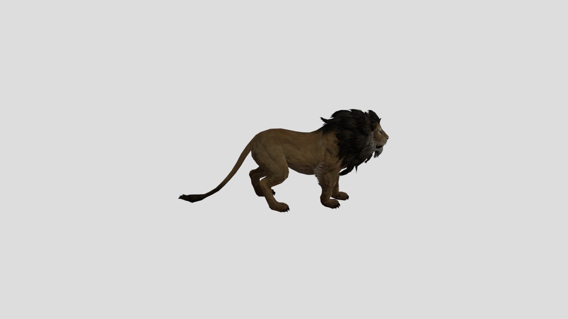 Lion - Download Free 3D model by LostBoyz2078 (@LostModels2025 ...