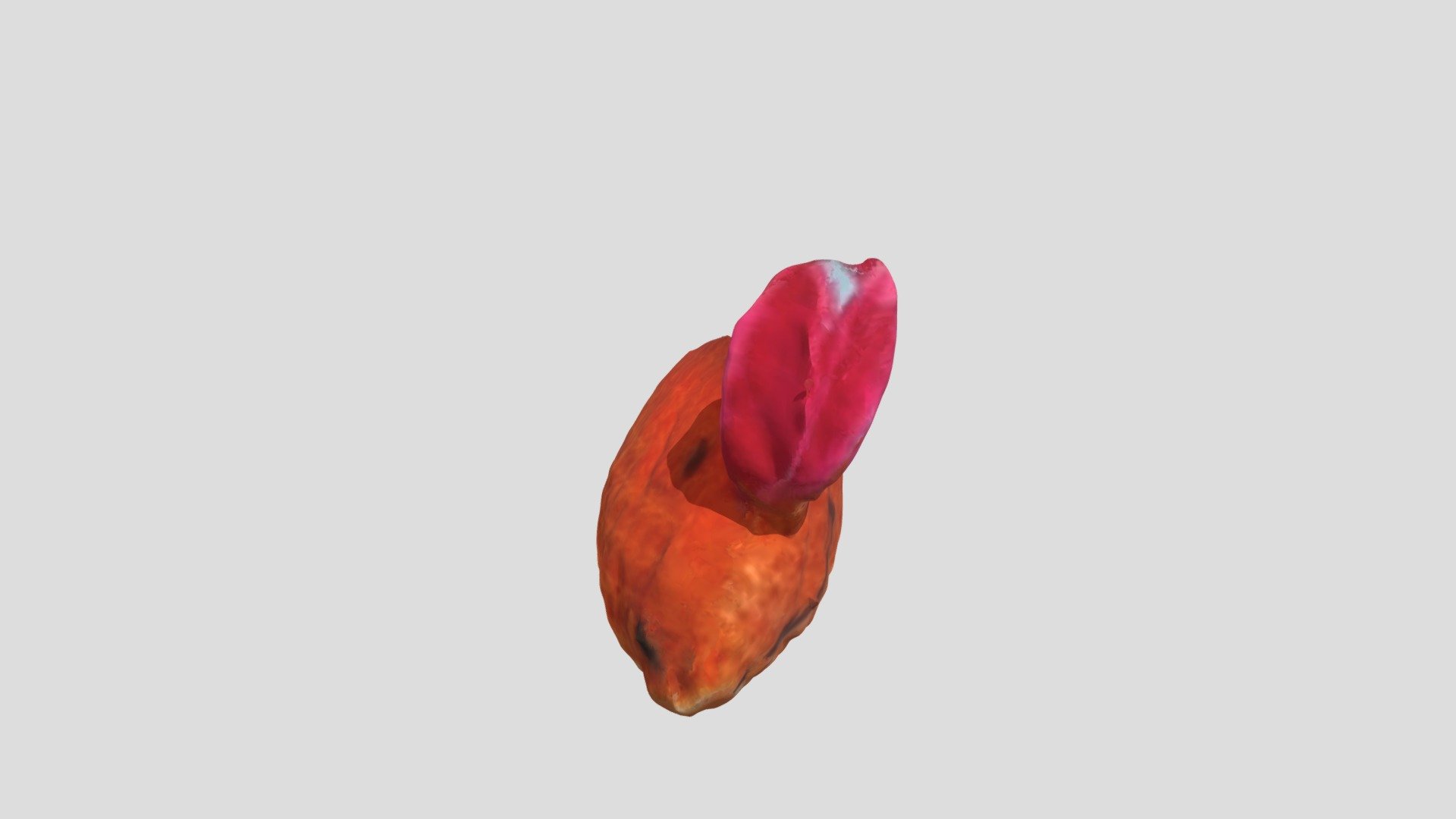 Mouse Toy Scan - 3D model by LevelUp (@tommaso.rosi) [fc6f0e6] - Sketchfab