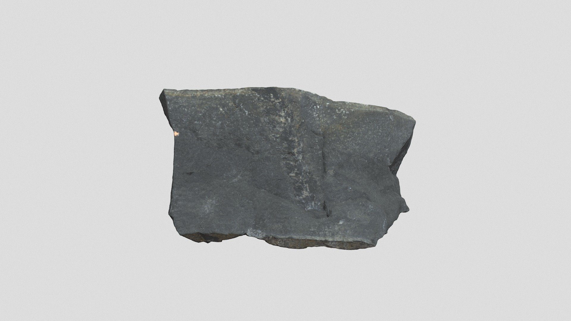 Pianta Carbonifero Germania - Download Free 3D model by Atlante ...
