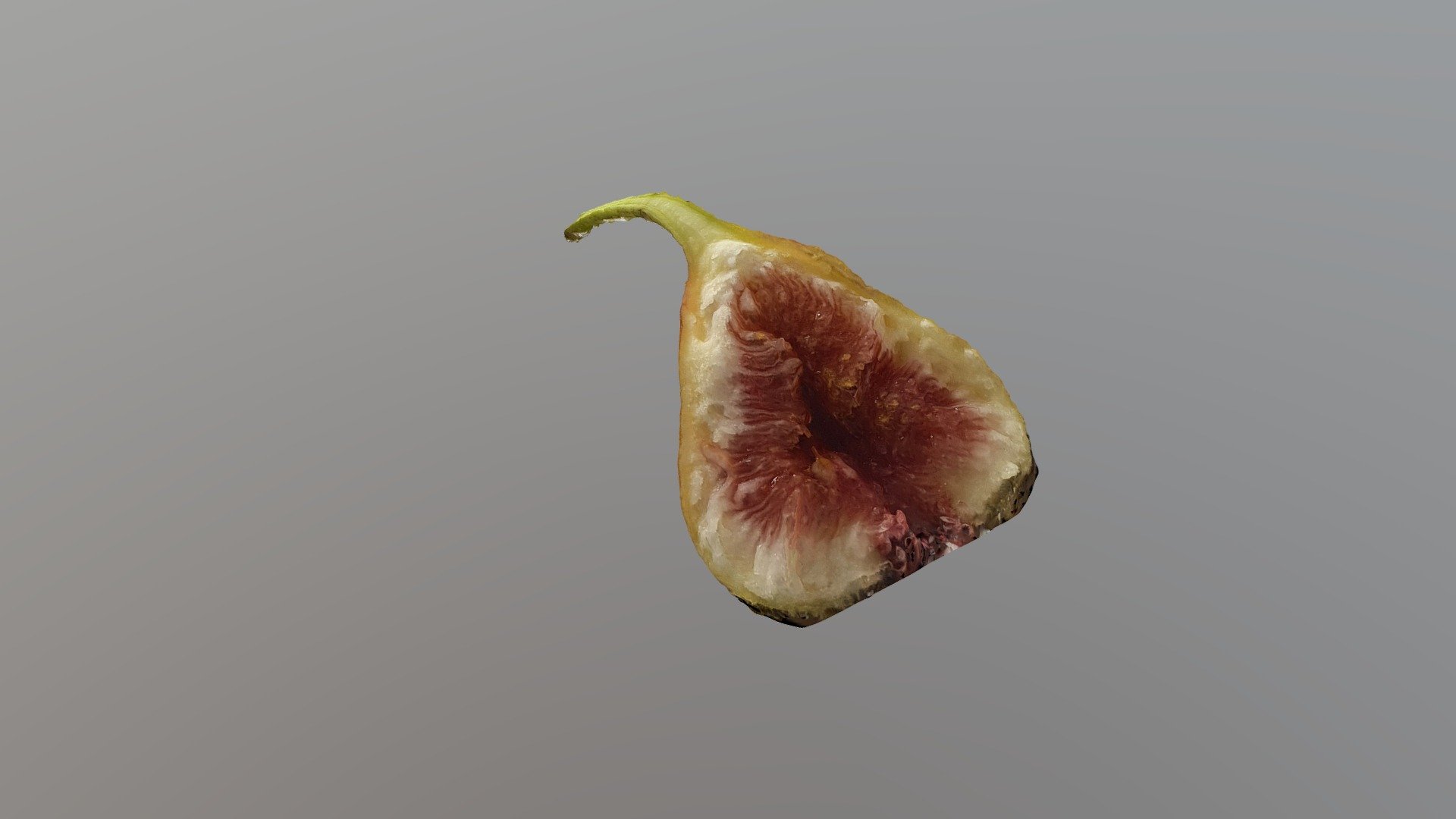 Fig - Download Free 3D model by cupofacid [fc8ab46] - Sketchfab