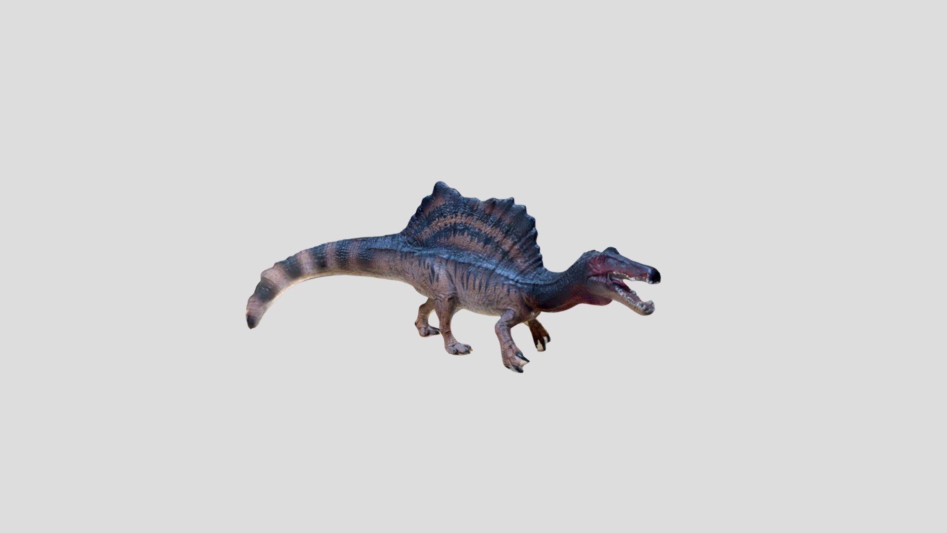 Spinosaurus - Buy Royalty Free 3D model by Daniel.Pikl [fc90450 ...