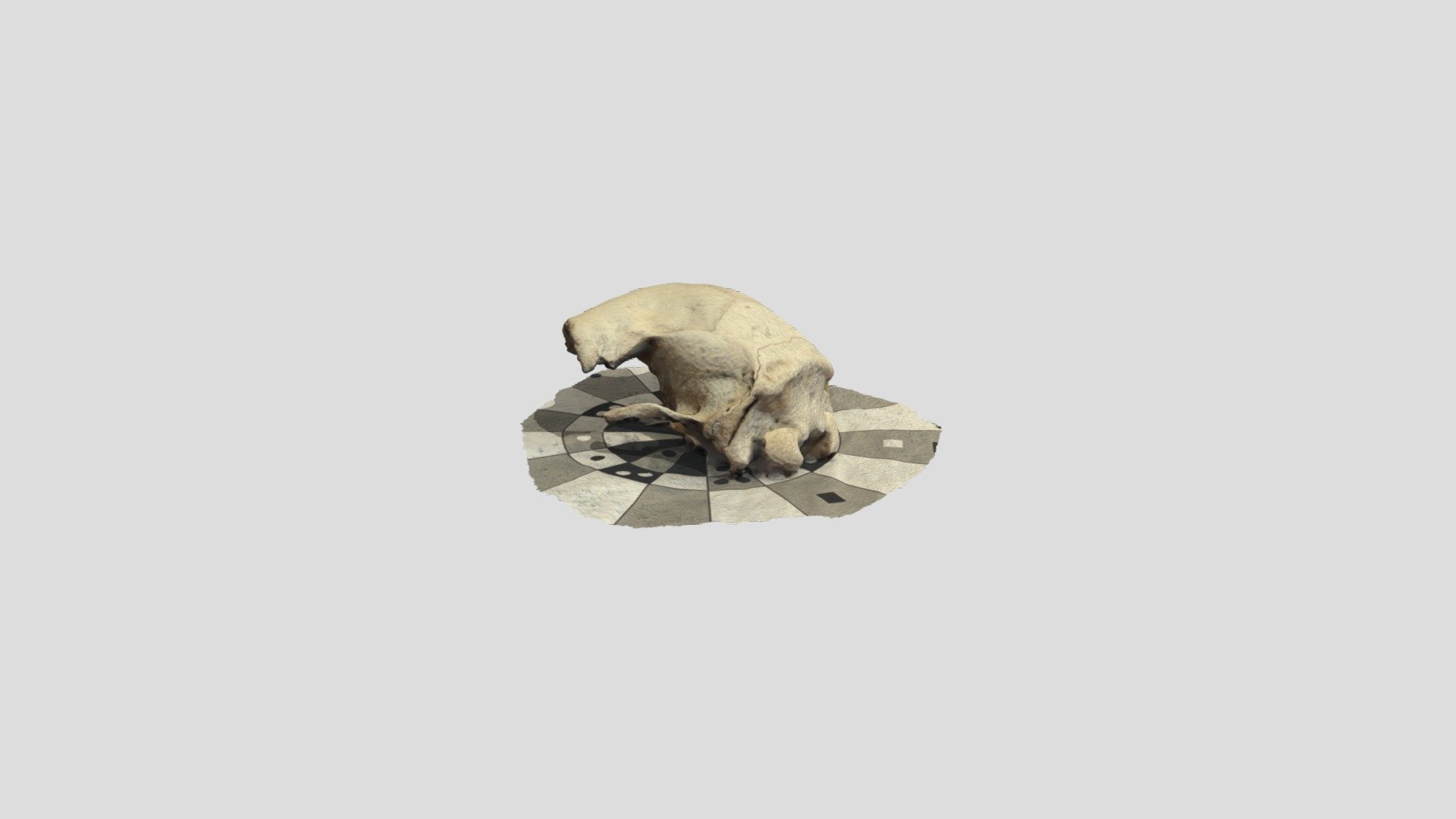 High Rez Skull - 3D model by ghostiegoobie [fc9168c] - Sketchfab