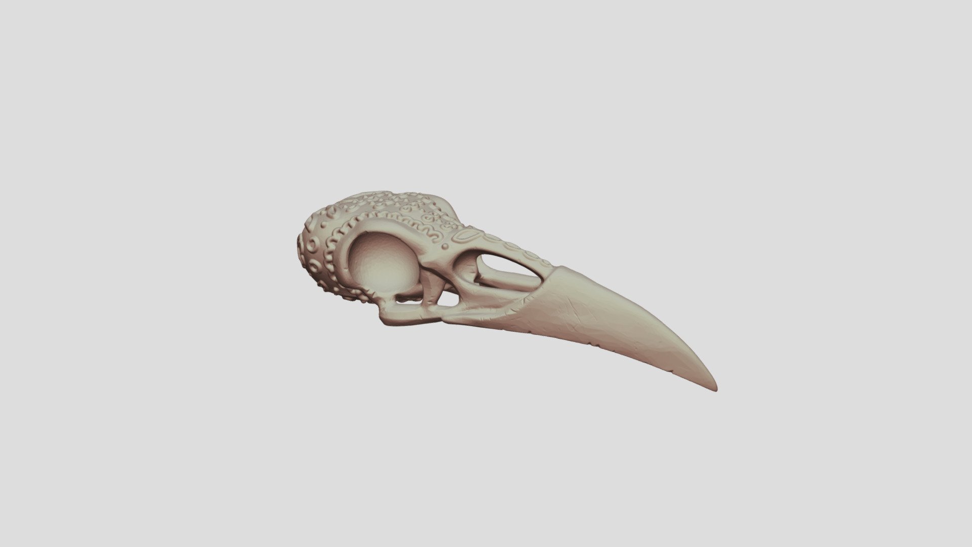 Bird skull with ornaments 2 - 3D model by hayazawahayeda [fc963da ...
