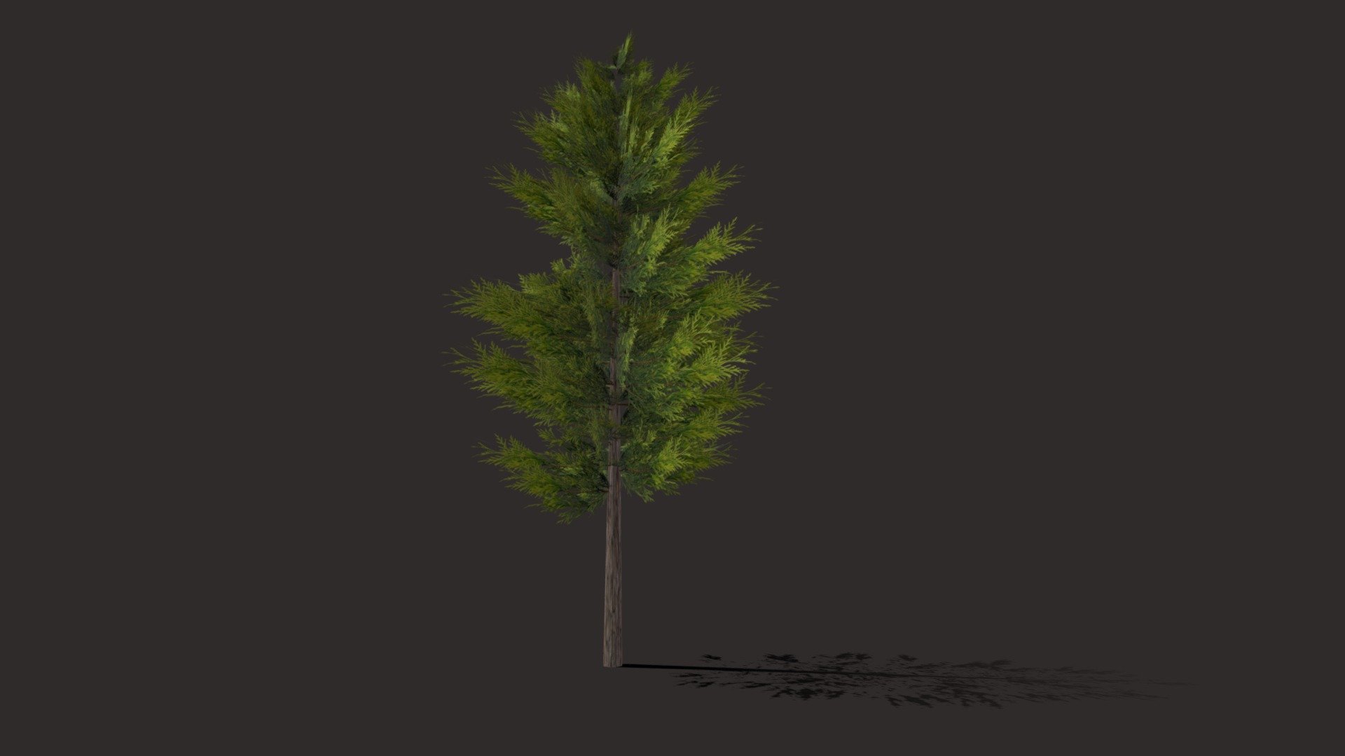 Free Tree 1 - Download Free 3D model by Giimann [fc97bf9] - Sketchfab