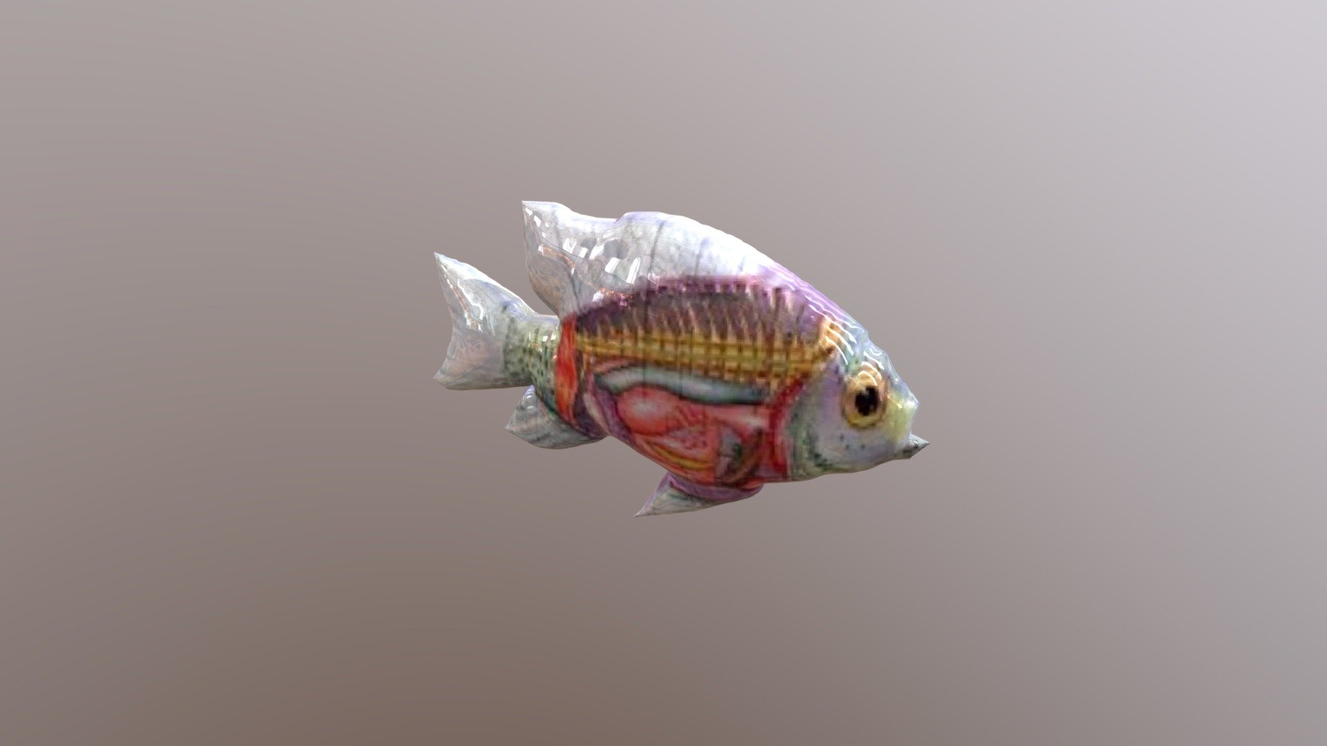 Sistem Pencernaan Ikan 3D by Oki Siwi - 3D model by okisiwi [fc98278 ...