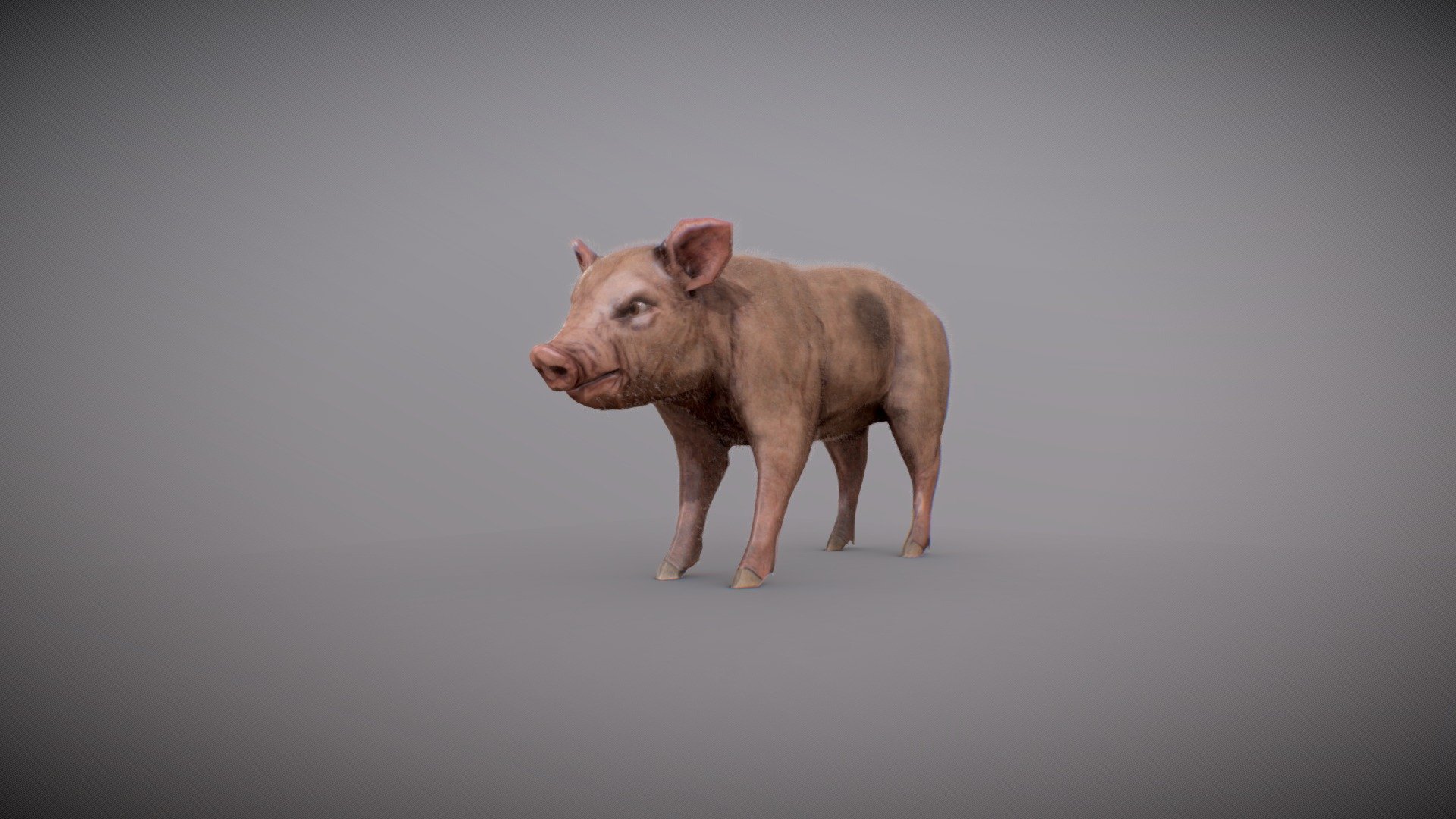 Piglet - Buy Royalty Free 3D model by benbeauart [fc9a779] - Sketchfab ...