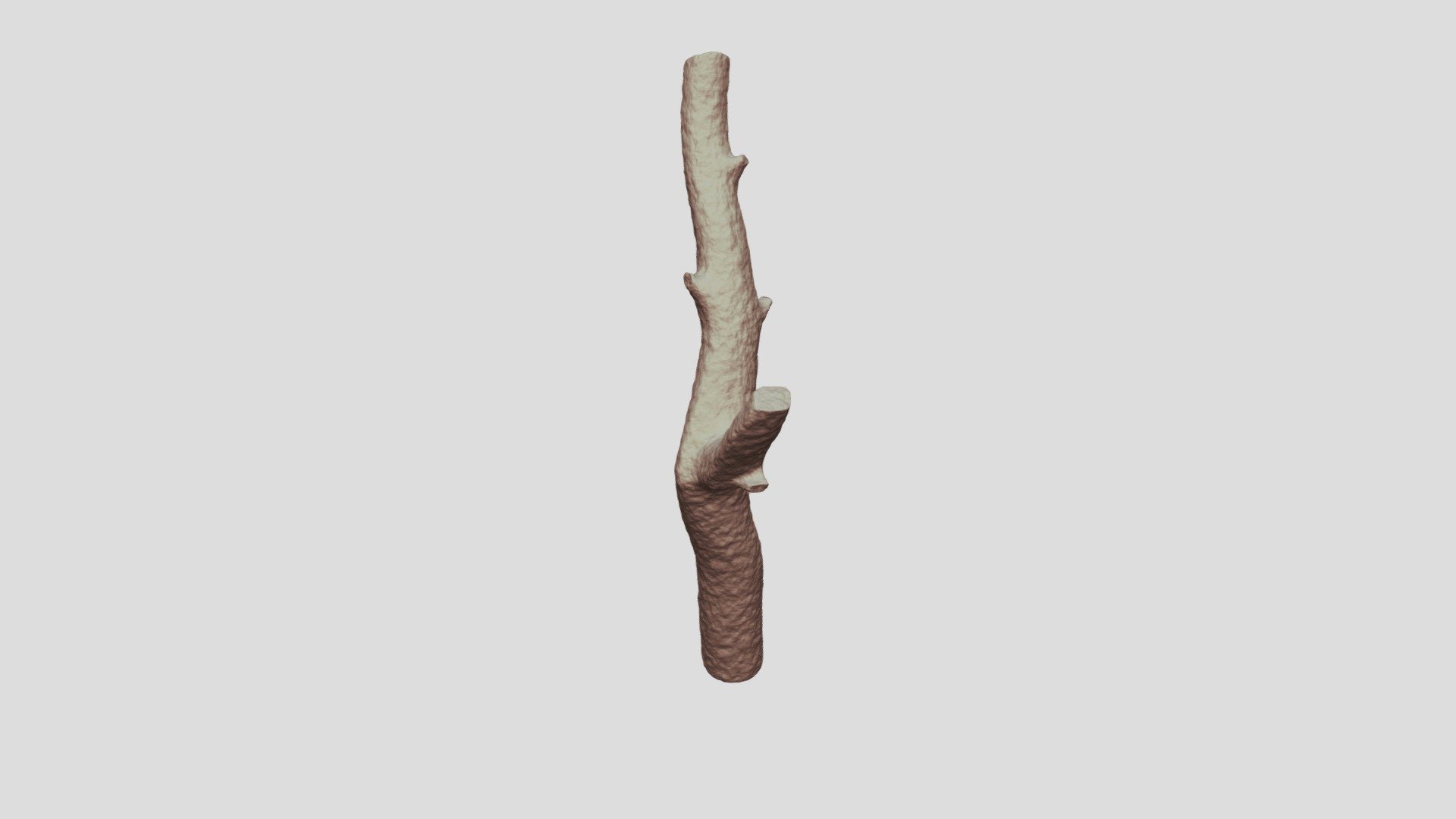 Wood 4 - 3D model by jjajjw495 [fc9fdaf] - Sketchfab