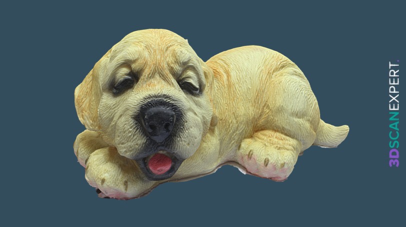 Dog — Foldio360 + DSLR + PhotoScan (Ultra High) - 3D model by 3D Scan ...