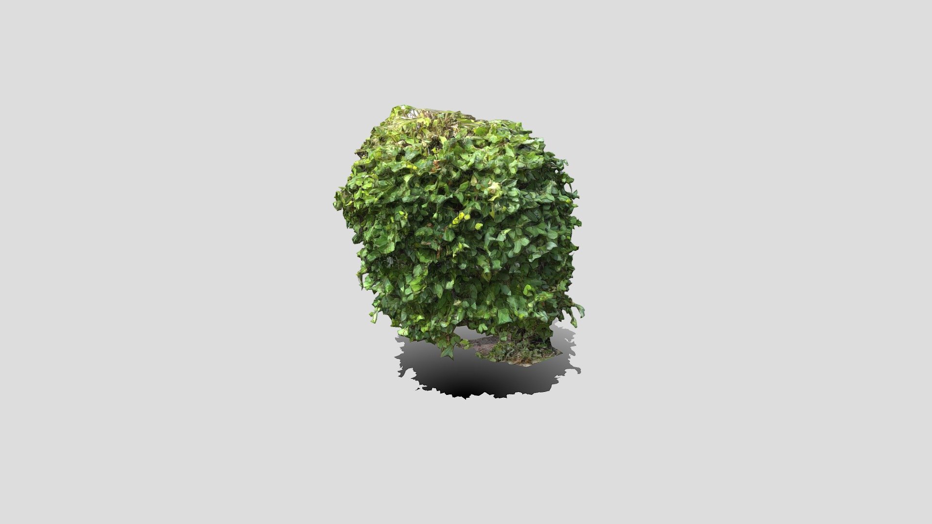 Protruding Bush - 3D model by digitalurban [fcab138] - Sketchfab