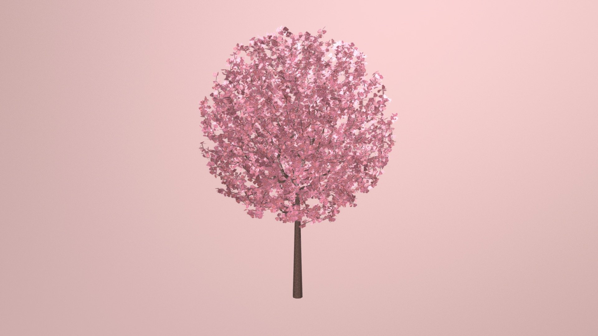 Cherry tree - 3D model by OrangeNote [fcae6a8] - Sketchfab