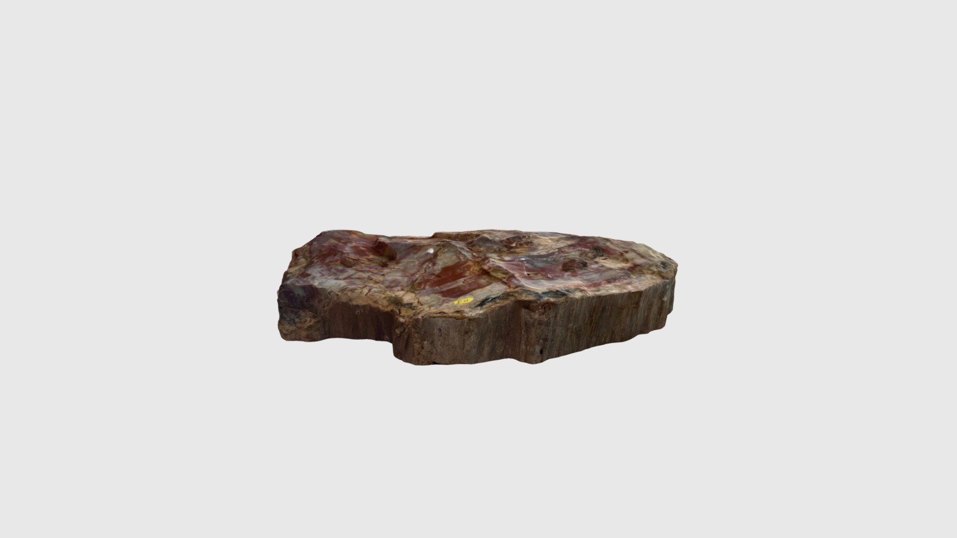 Fossilization Example Petrified Wood - Download Free 3D model by ...