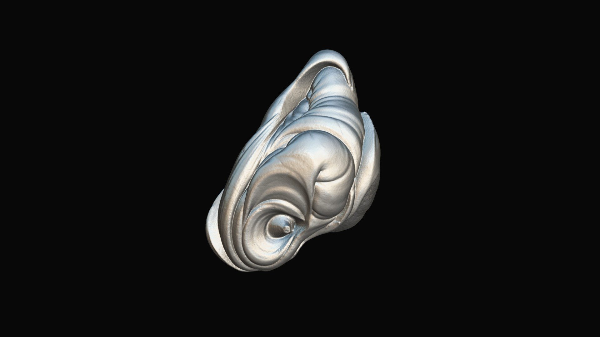 Ear Impression - Download Free 3D model by Thunk3D 3D Scanner (@Lily ...