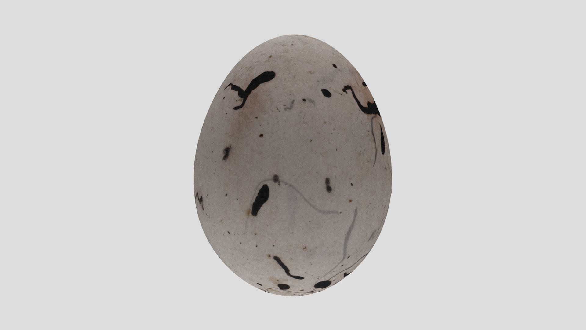 YPM ORN.145787d Bird egg, Boat-tailed Grackle - Download Free 3D model ...