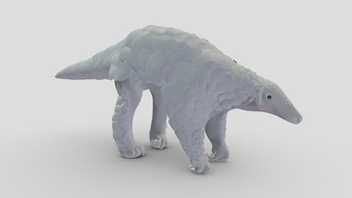 Pangolin 3D models - Sketchfab