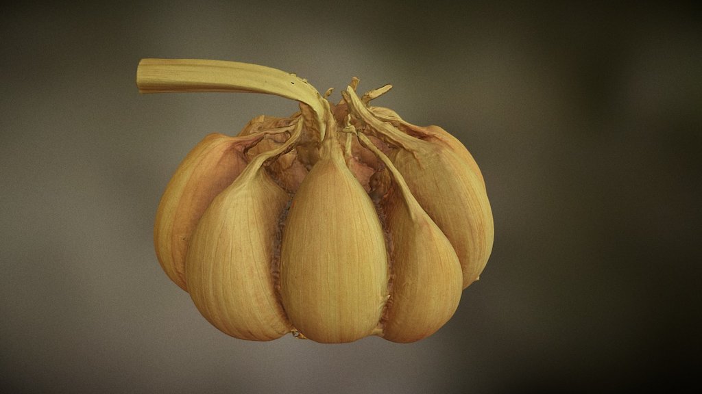 Garlic - Download Free 3D model by Mantas Talmantas (@mantasT) [fccb65d ...