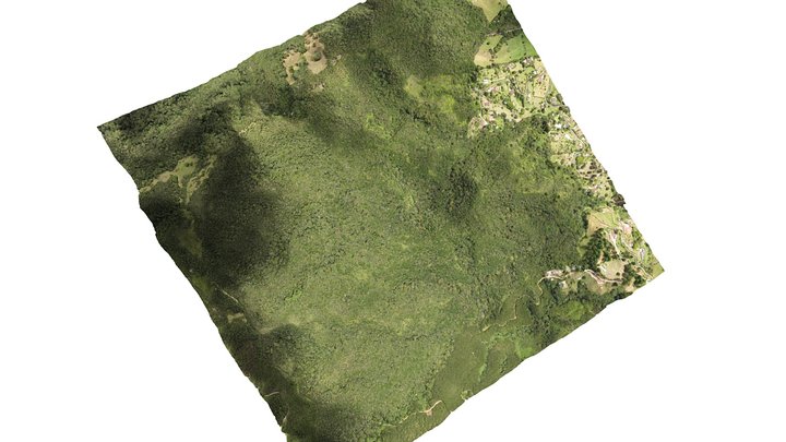 Bosques 3D models - Sketchfab