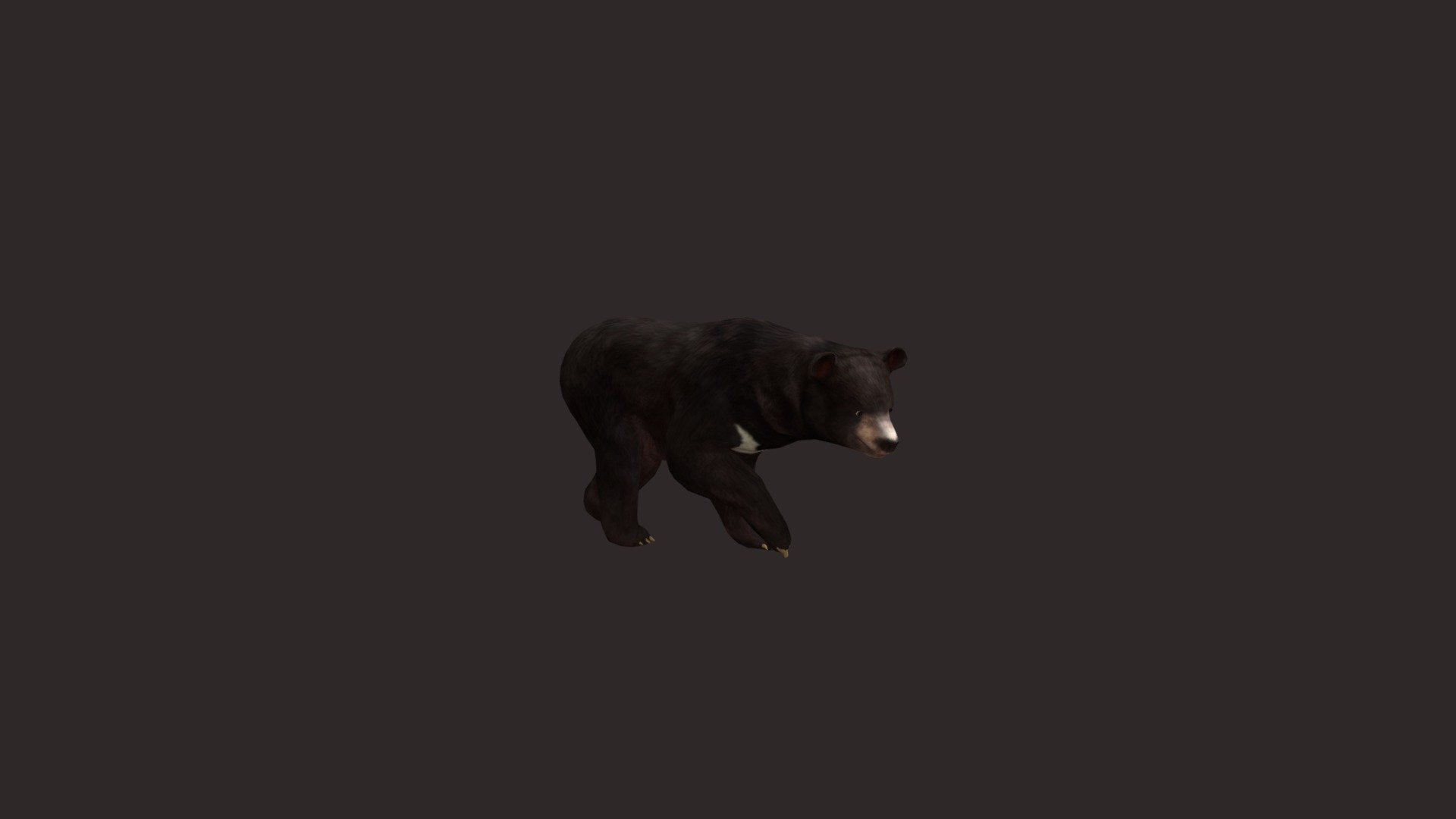 bear_digging - 3D model by sixuan [fcd679d] - Sketchfab