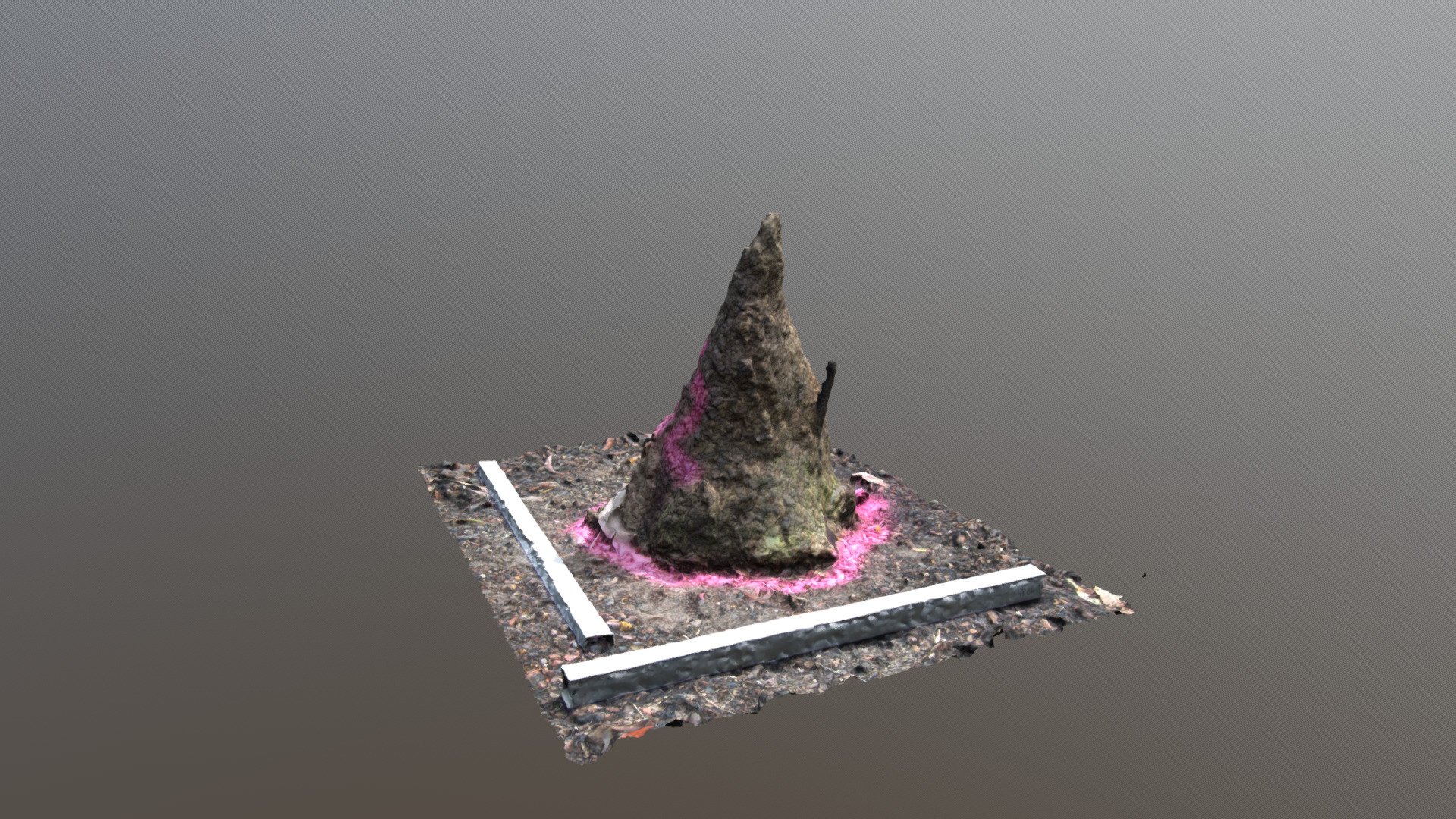 Termite mound Mn3-2016 - 3D model by pnauer [fcd8f31] - Sketchfab