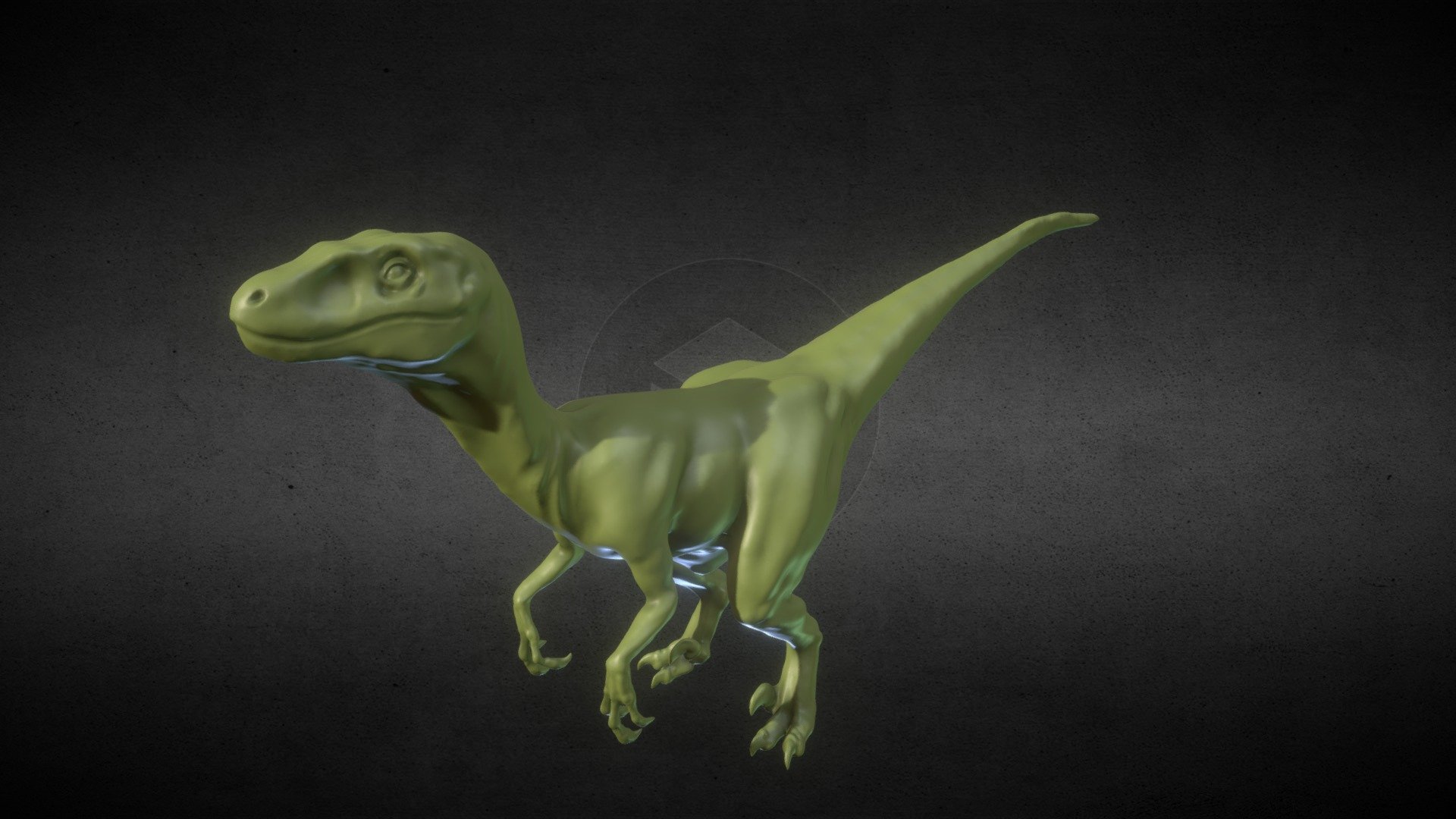 Raptor (by Annamária) - 3D model by Shapelab [fcd98f8] - Sketchfab