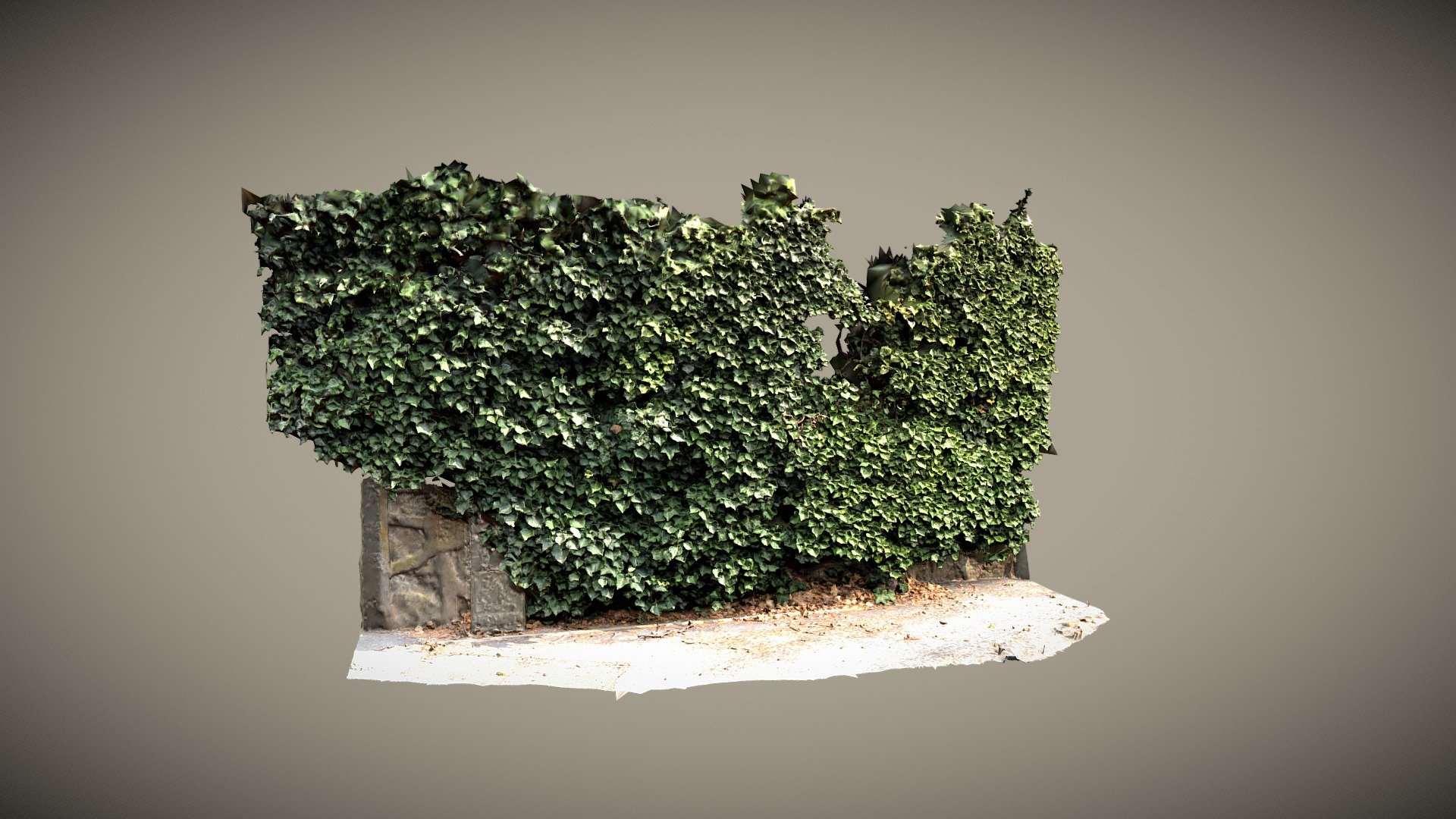 Ivy - Download Free 3D model by zeoin [fcdc990] - Sketchfab