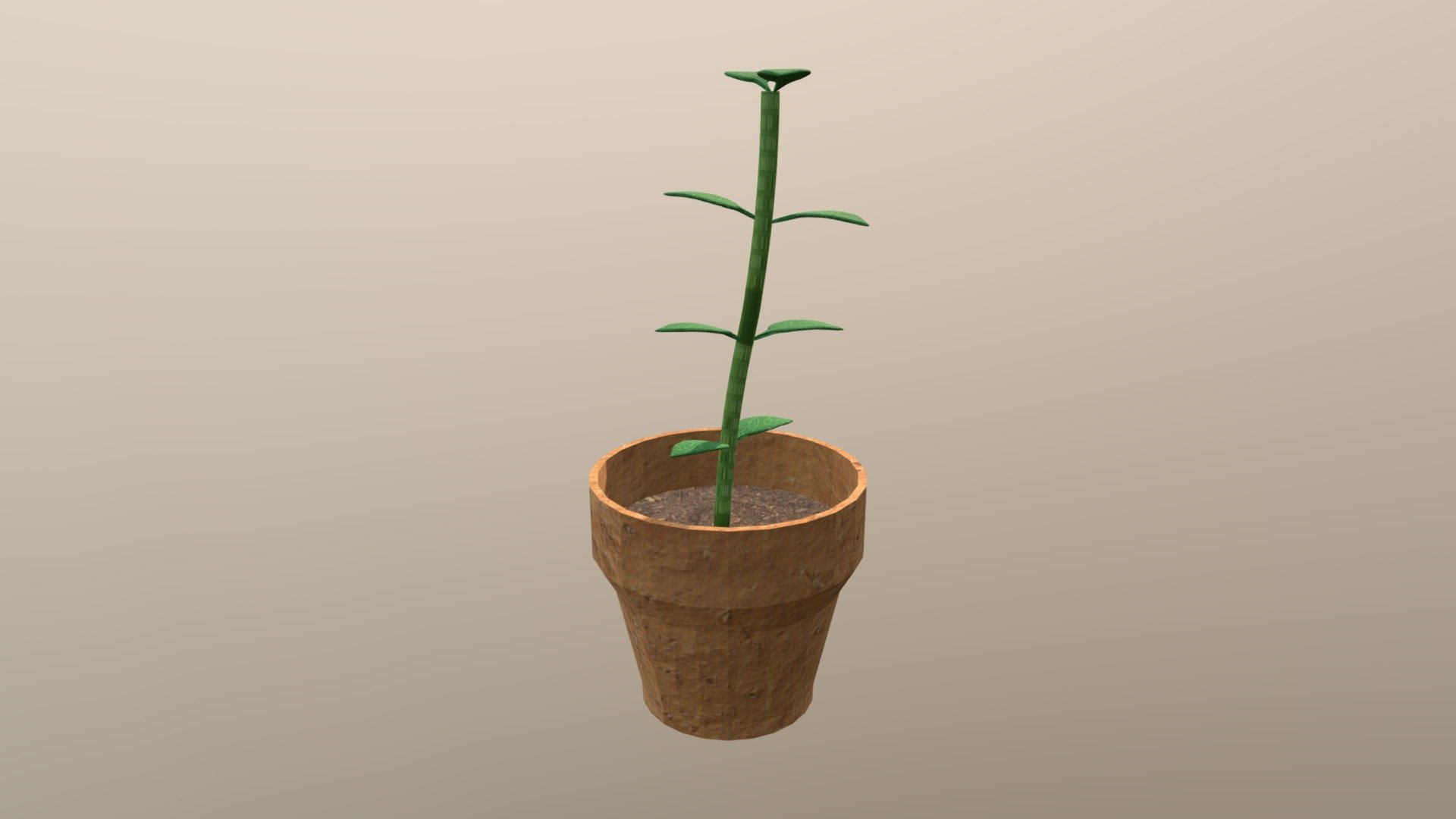 PLANTPOT NEW - 3D model by adam1704 [fcde418] - Sketchfab
