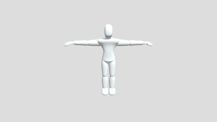 Humanmodel 3D models - Sketchfab