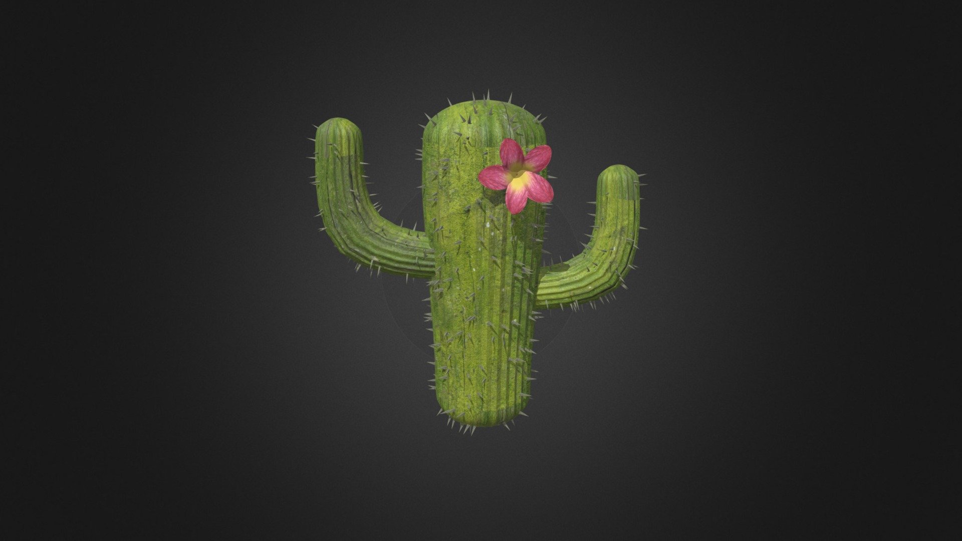 Cactus - 3D model by Lydia (@5candyat) [fcf49d7] - Sketchfab