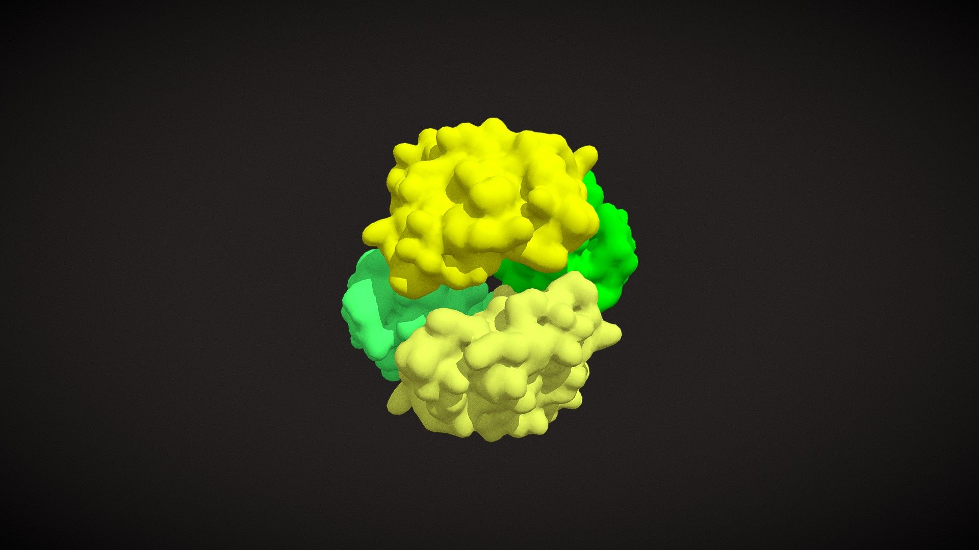 Hemoglobin, T- to R-state transition - Download Free 3D model by ...